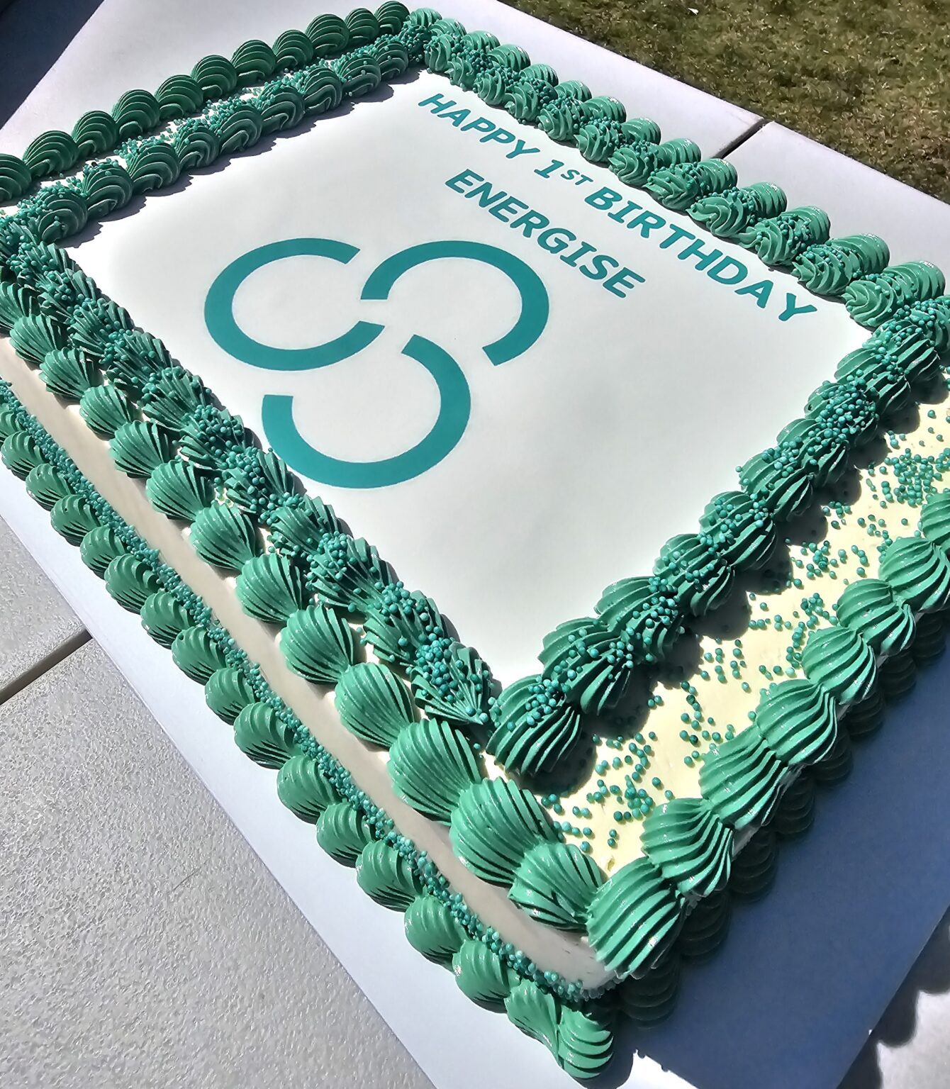 Celebrating 1 Year Of Energise Renewables! | Energise Renewables